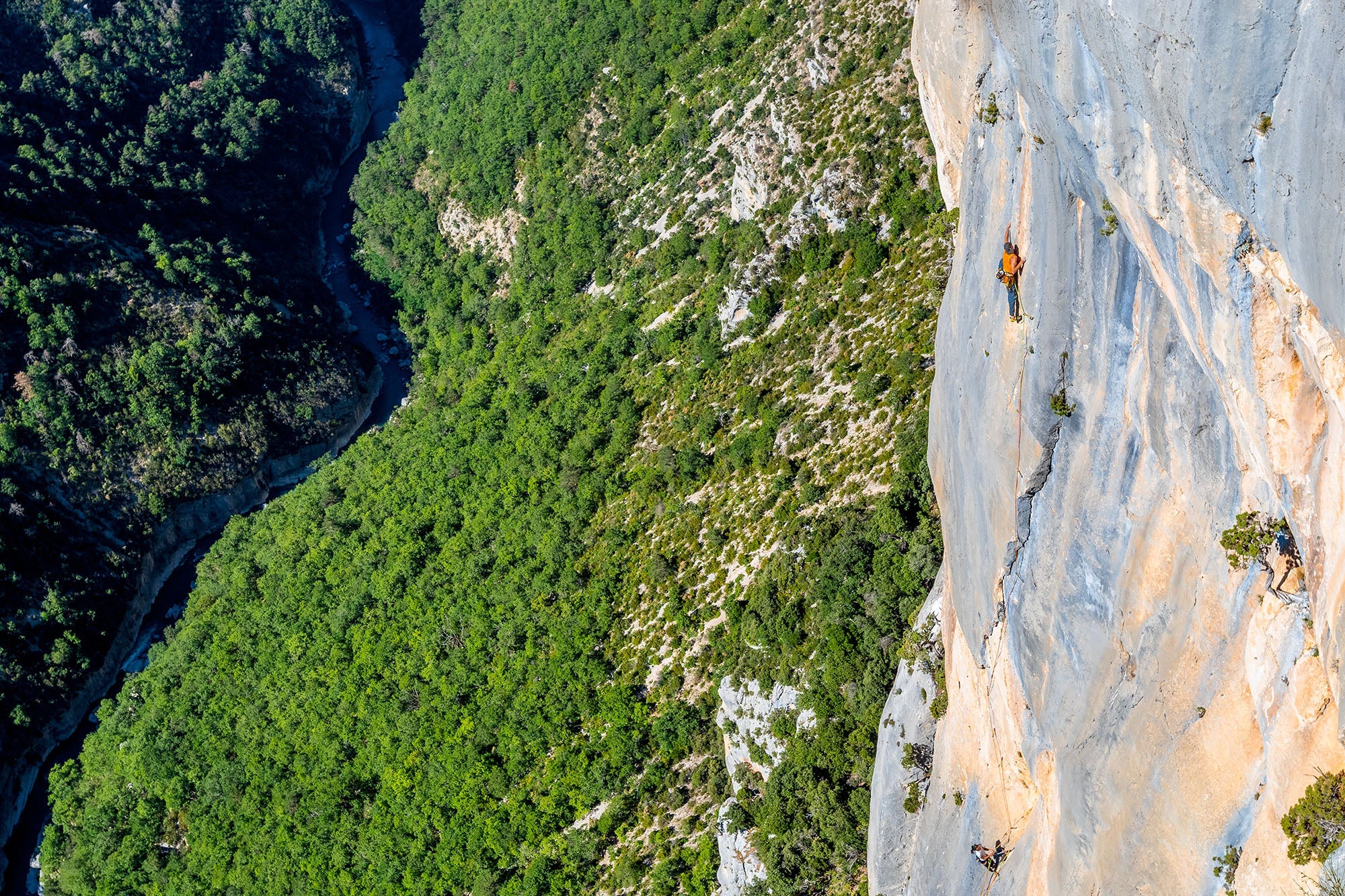グリベル - マスタープロ